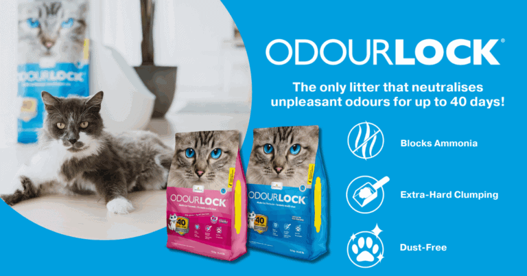 Intersand OdourLock - The Ultimate Odour Control Cat Litter - BSB Products